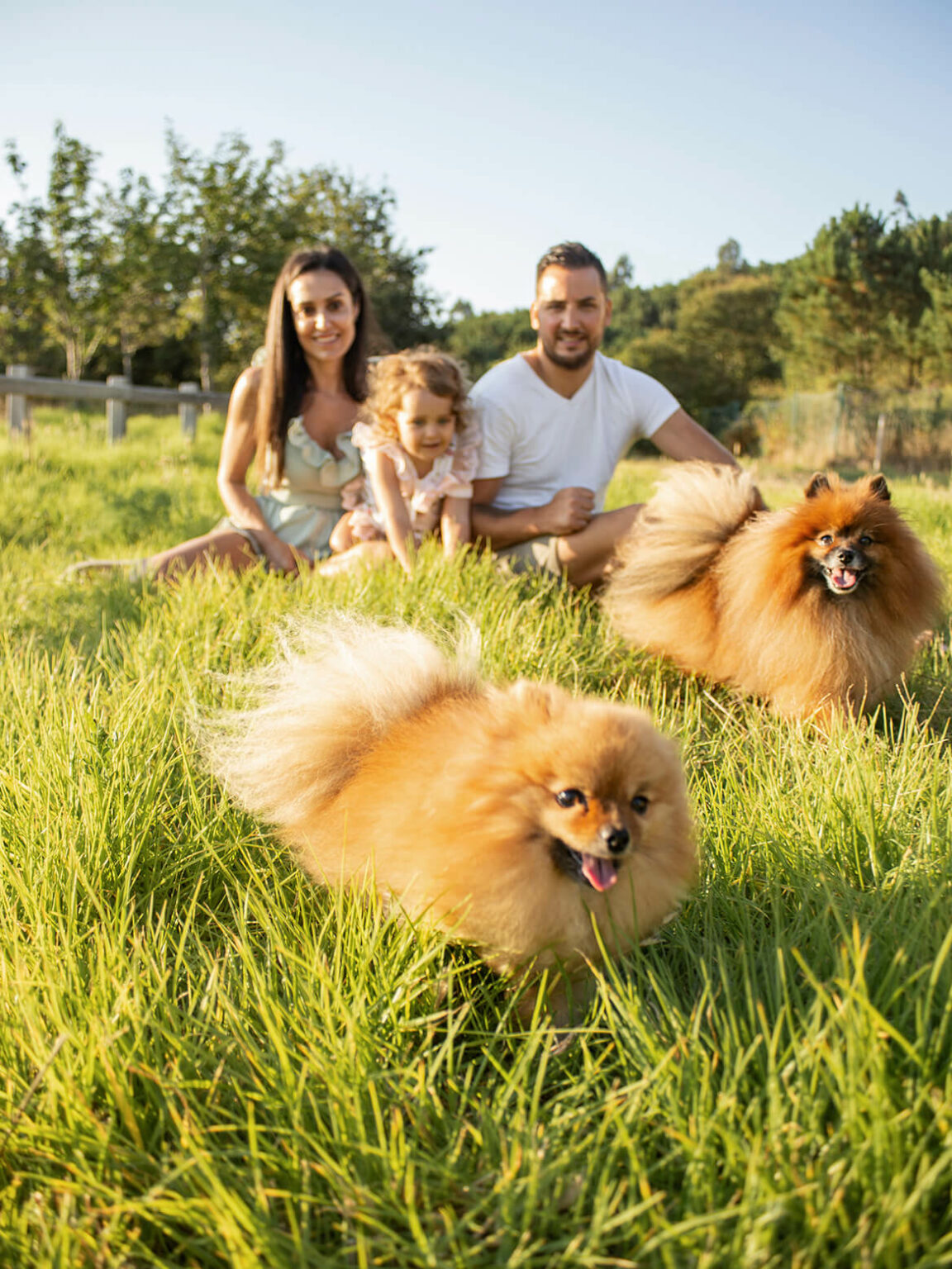 Fotografía de familia y mascotas - Paula, Hugo y Sofía - Fotografía ...